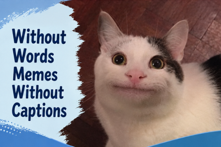 Memes Without Captions What 120 Hilarious Ideas Go Viral